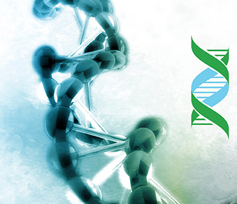 IT-SCIENT digital solutions and technology services company